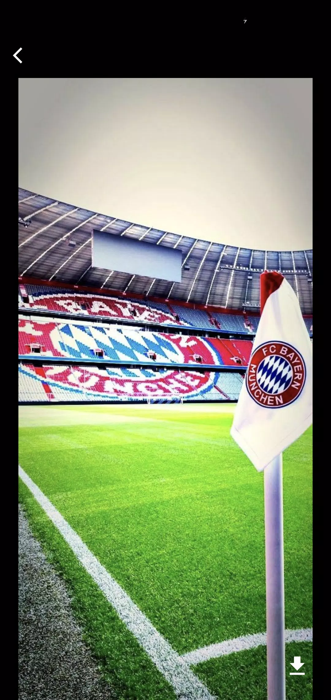 Bayern Munich Iphone Wallpaper