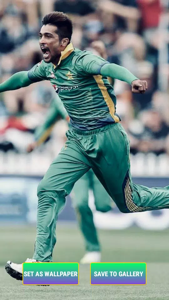Mohammad Amir Wallpaper