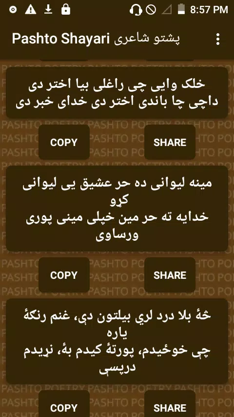 Pashto Poetry With English Translation