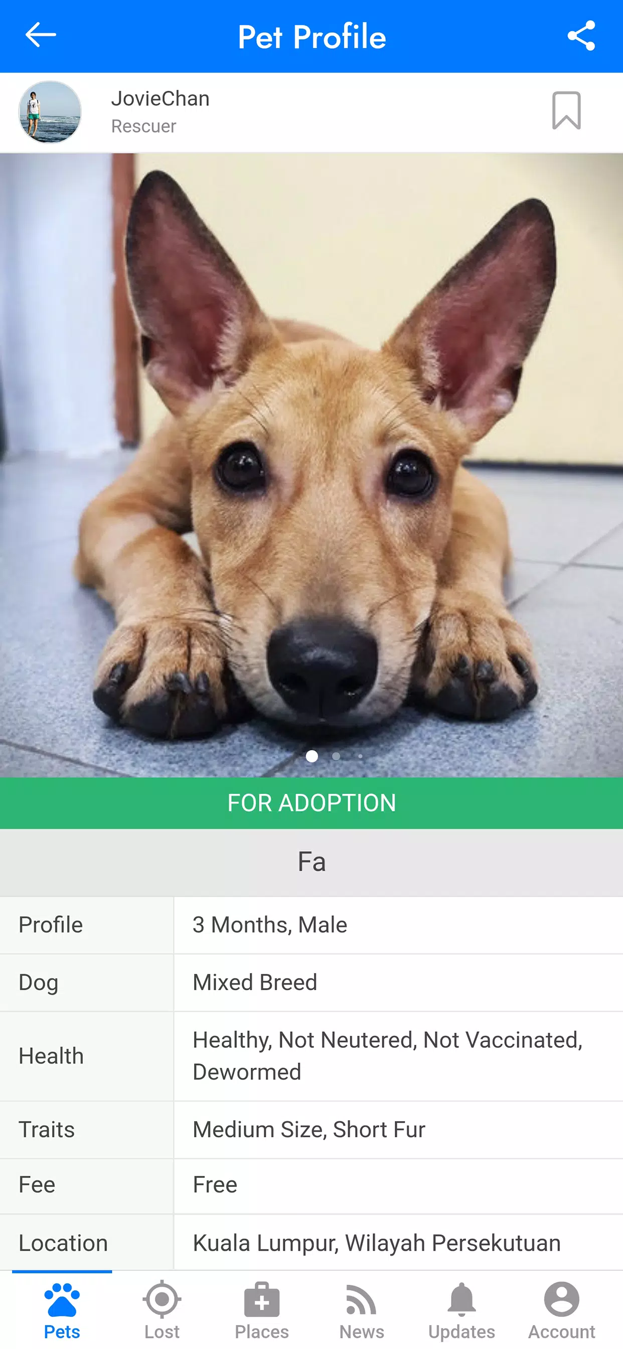 Can I List My Dog On Petfinder