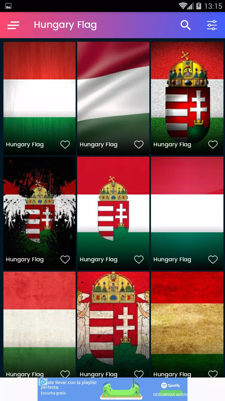 Hungarian Flag Wallpaper