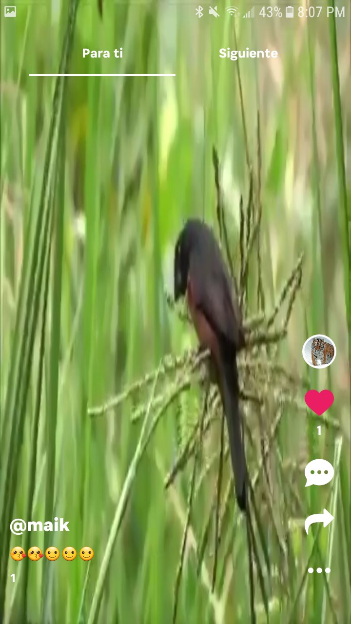 RD Live APK for Android Download