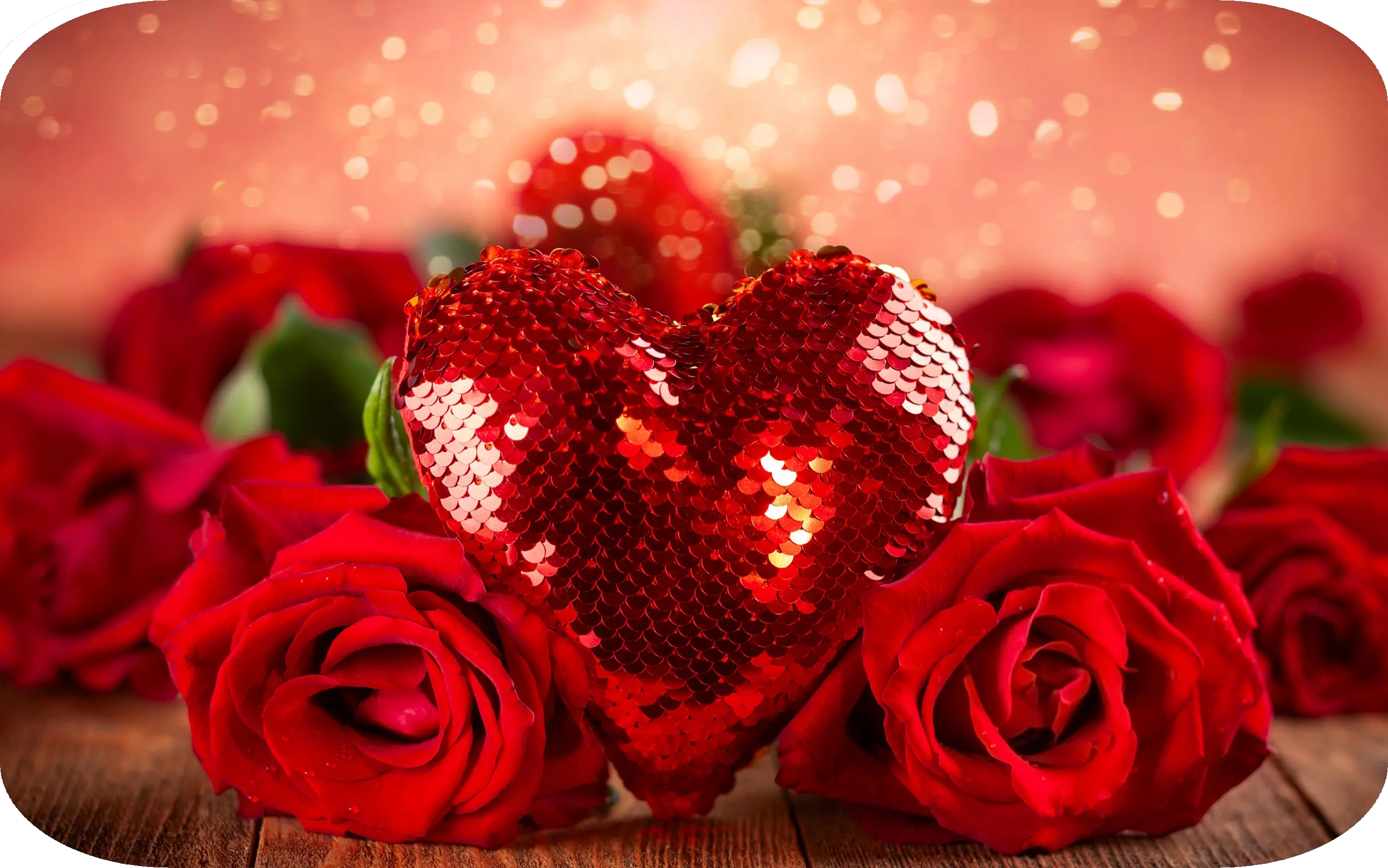 Most Beautiful Red Roses Wallpapers