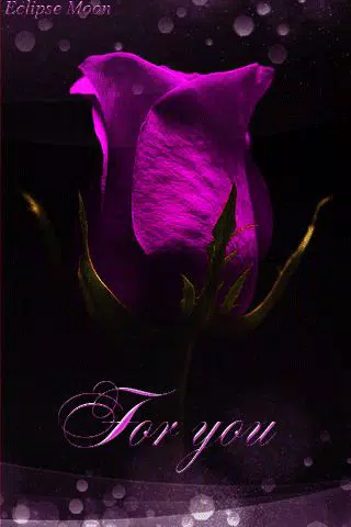 Animated Purple Roses