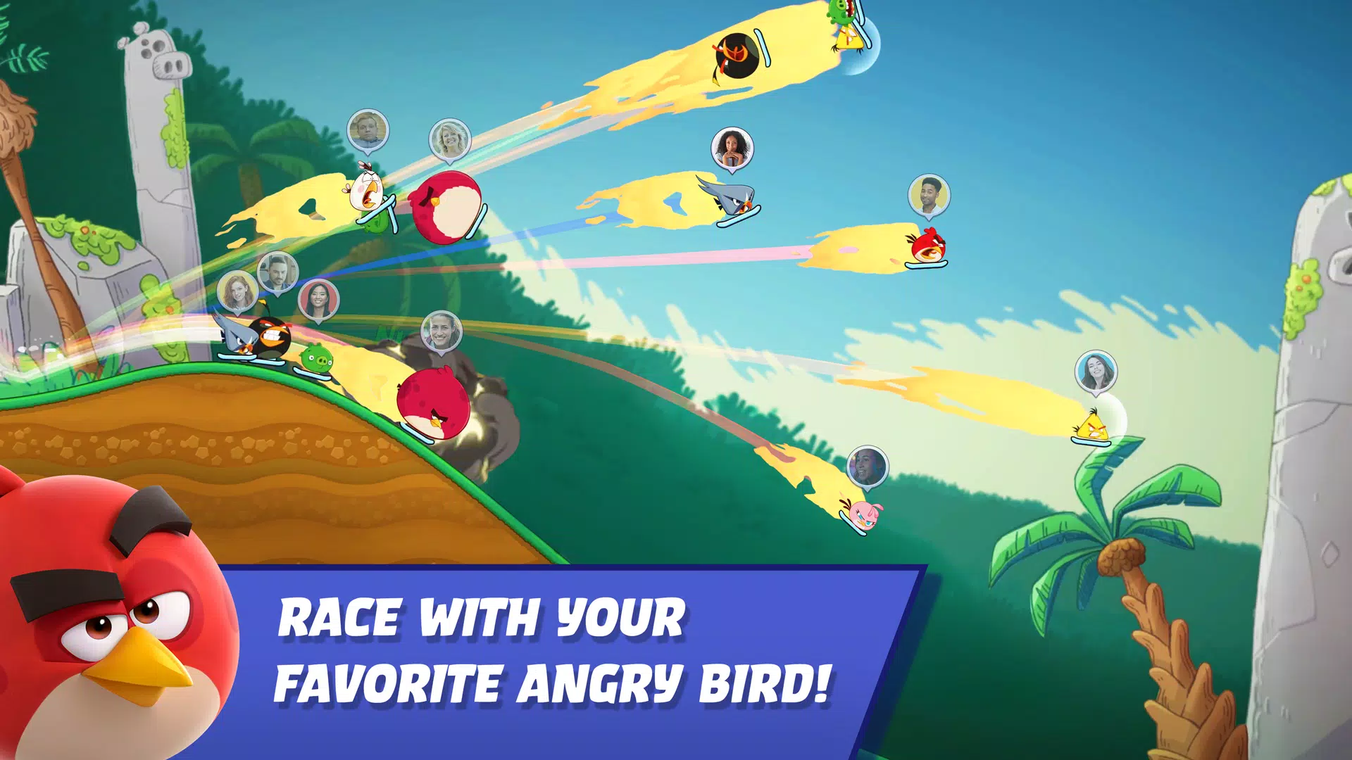 Angry Birds Go Chuck Race