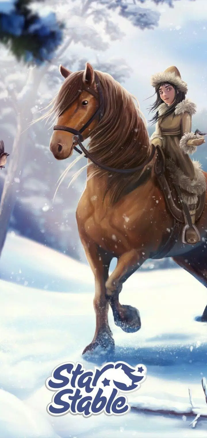 Star Stable Backgrounds