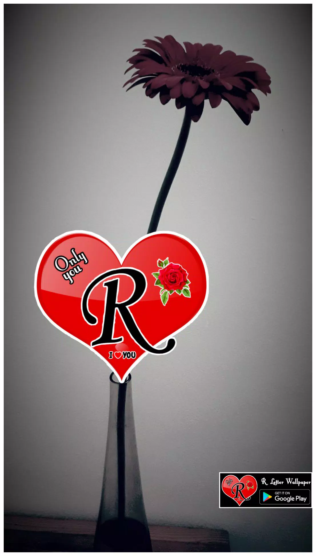 R Alphabet Name Wallpaper