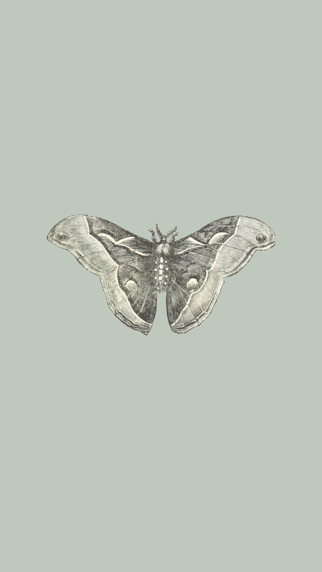 Sage green aesthetic wallpaper APK for Android Download Sage green aesthetic wallpaper APK for Android Download