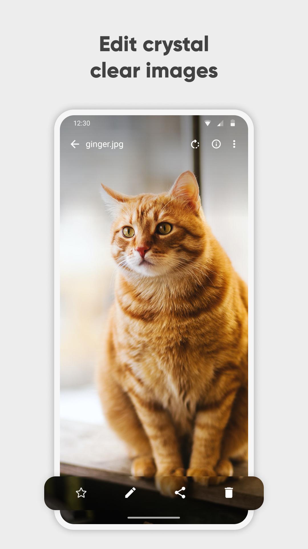Simple Gallery Pro Latest Version 6.28.1 for Android Simple Gallery Pro Latest Version 6.28.1 for Android