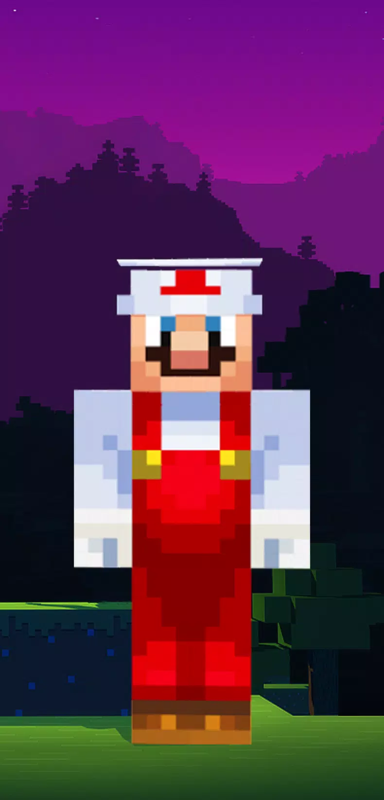 Mario Minecraft Skin