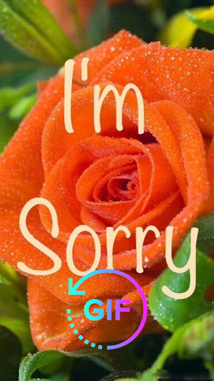 Sorry Animated Images GIFs APK for Android Download