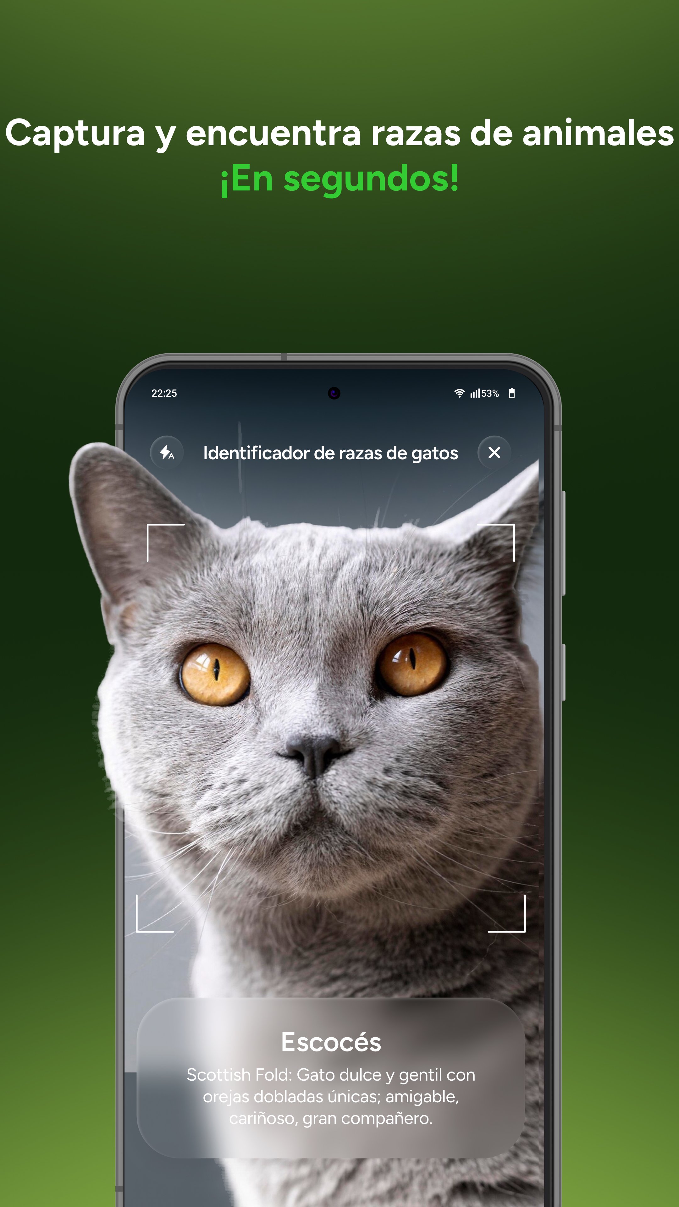 Descargar Spirit APK Última Versión 1.0.8 para Android
