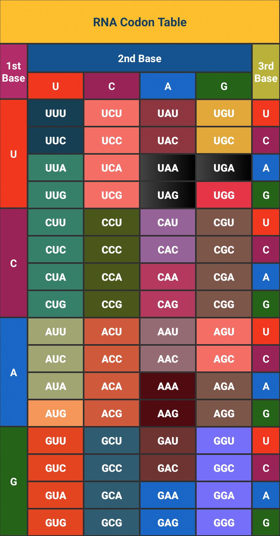 Rna Codon Table Apk للاندرويد تنزيل