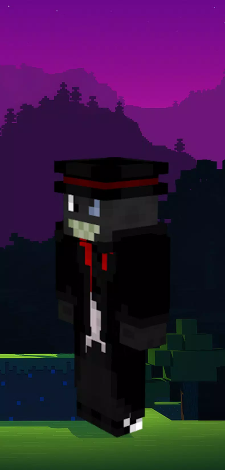 Minecraft Hat Skin