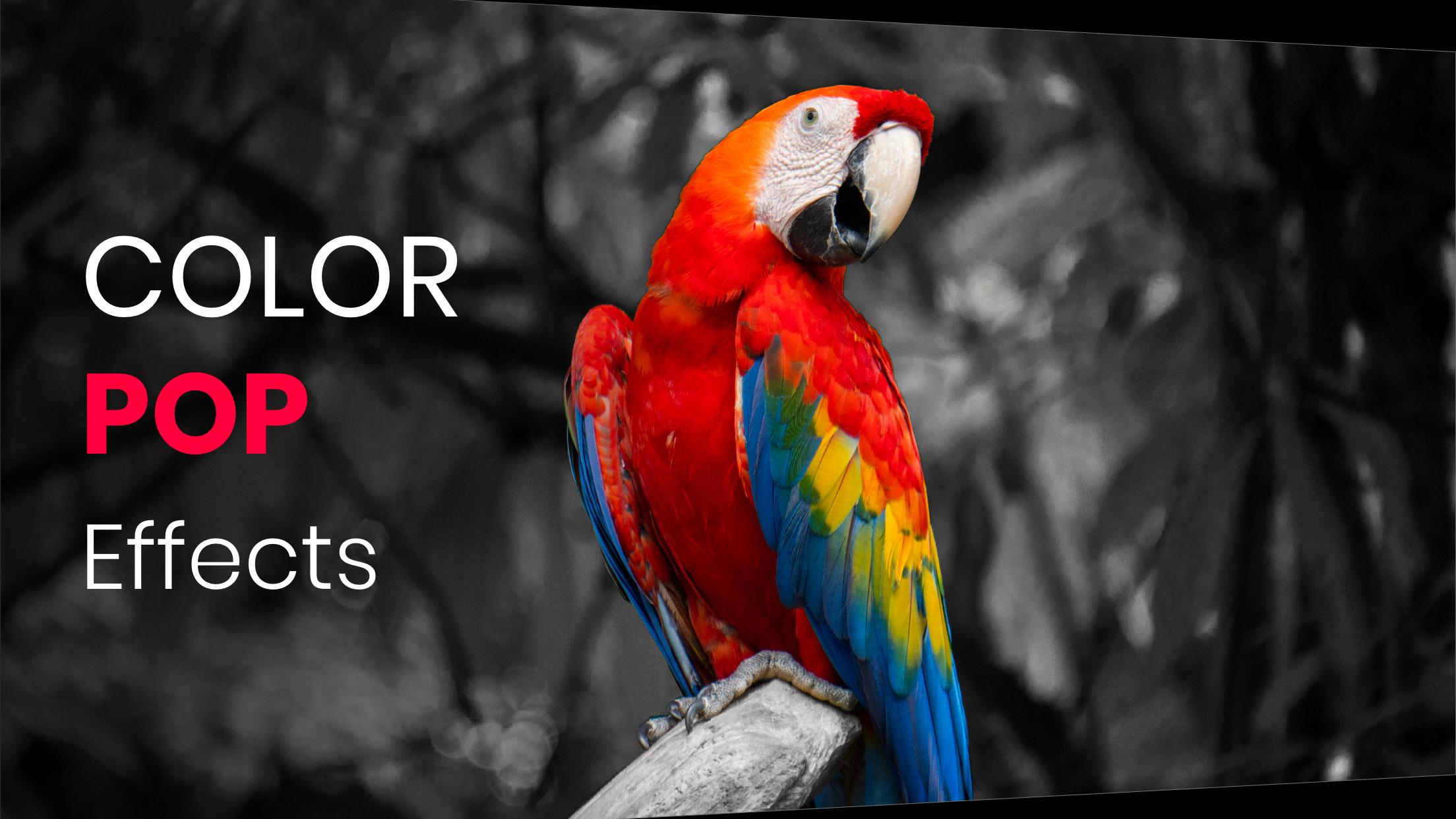 Color Pop For Android APK Download color-pop-for-android-apk-download