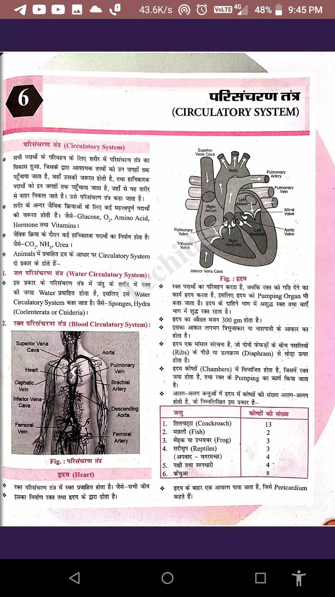 Sk Jha Science Book 3rd Edition Retail | www.oceanproperty.co.th