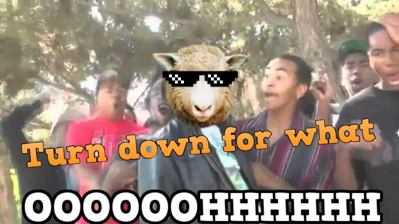 Turn Down For What Meme