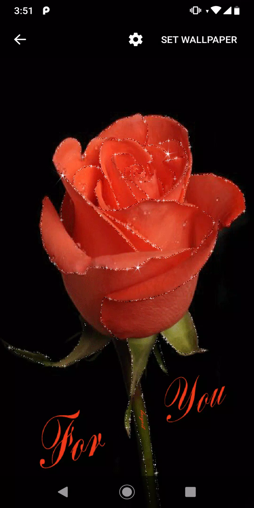 Love Rose Gif Wallpaper