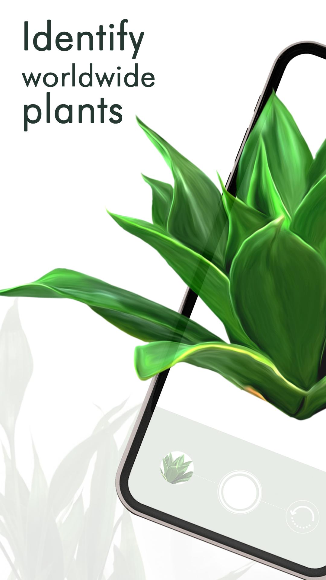 Plant Identification APK For Android Download plant-identification-apk-for-android-download