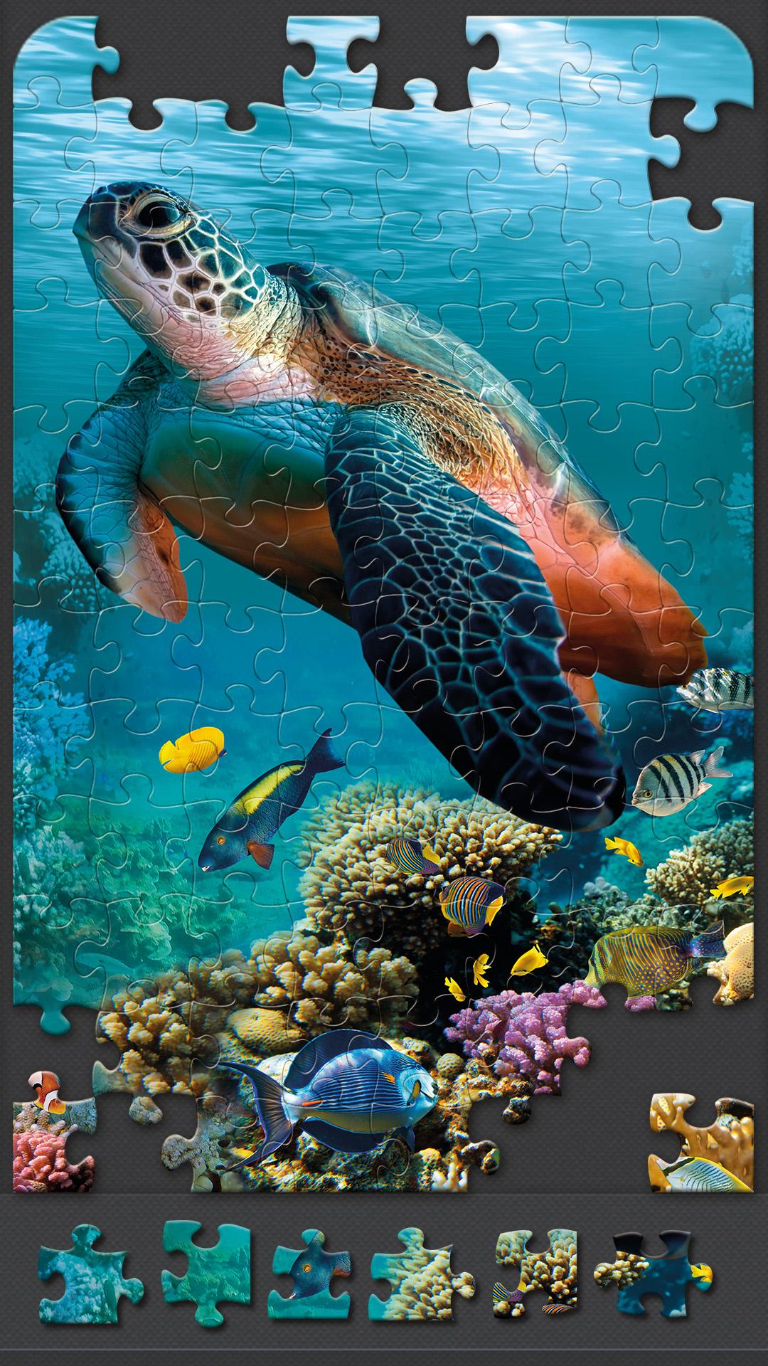 Jigsaw Puzzles For Adults APK For Android Download jigsaw-puzzles-for-adults-apk-for-android-download