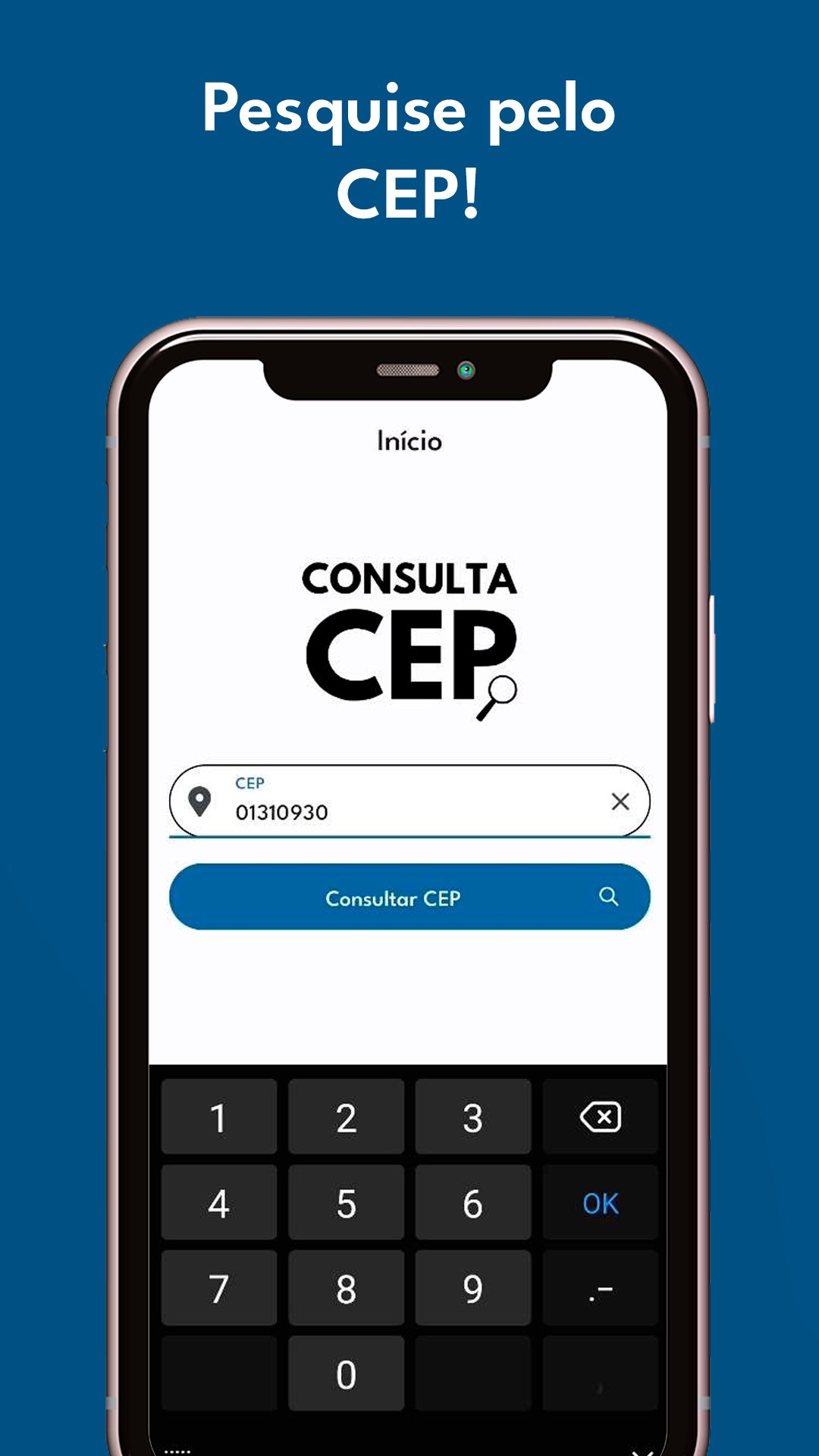 Consulta Cep - 2023 APK for Android Download