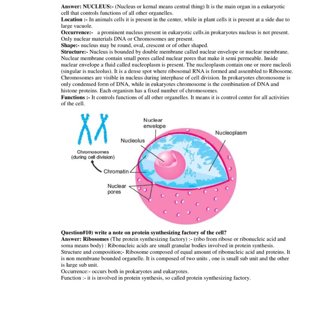 9th Class Biology Notes APK for Android Download 9th Class Biology Notes APK for Android Download