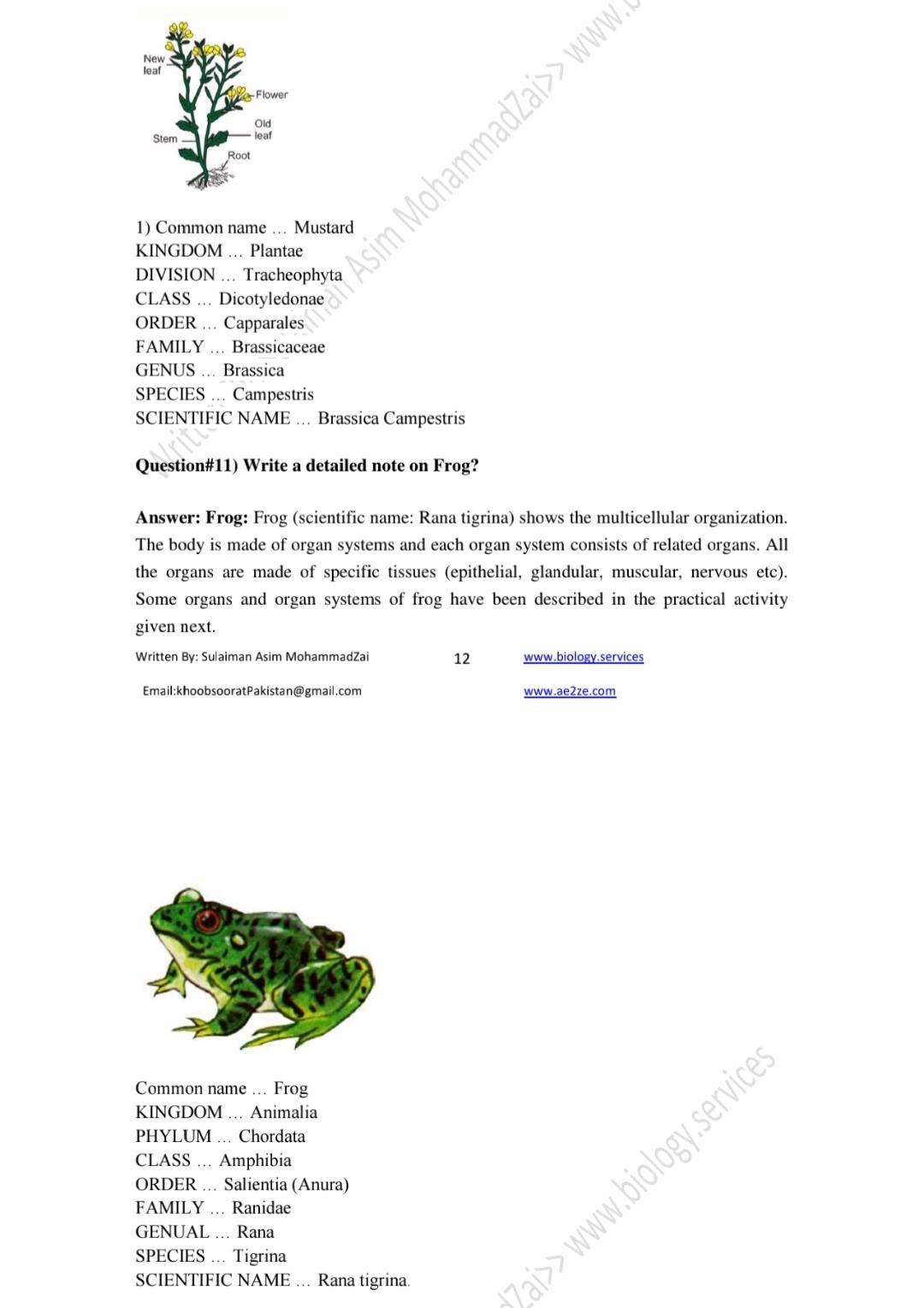 9th Class Biology Notes APK for Android Download 9th Class Biology Notes APK for Android Download