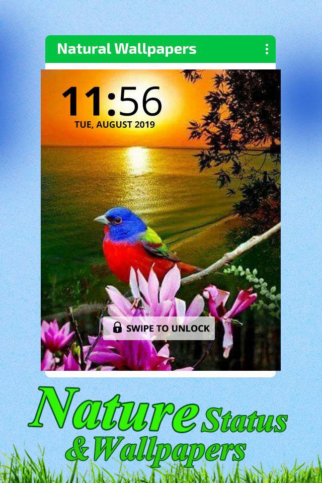 Nature 3D Wallpaper APK für Android herunterladen