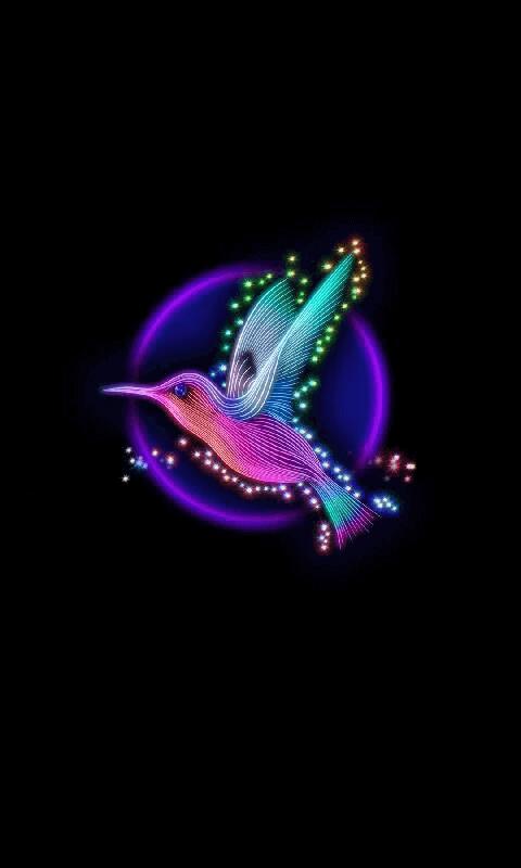 17 Gambar Wallpaper Neon Hd Joen Wallpaper