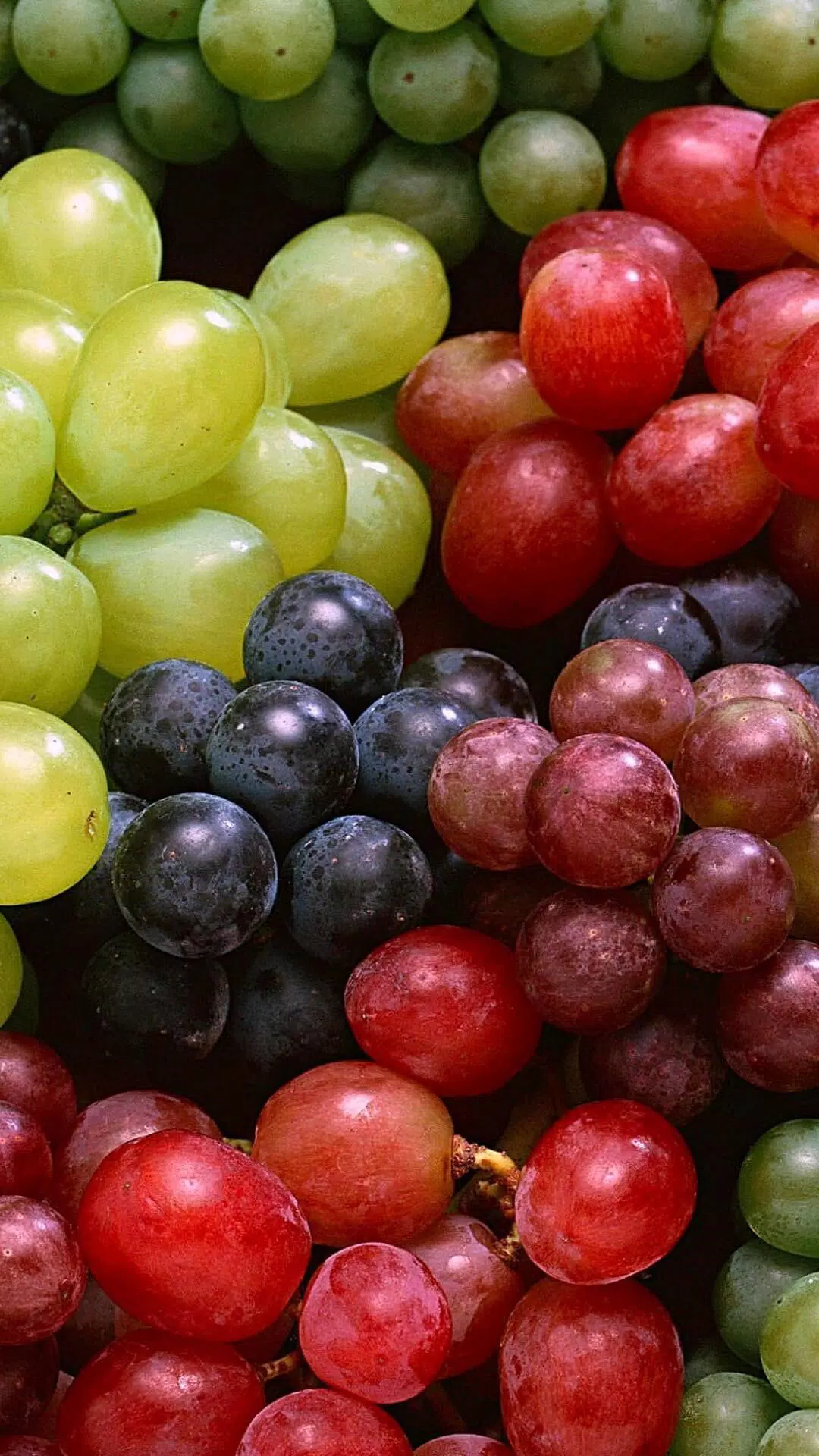 Grapes Wallpaper Hd
