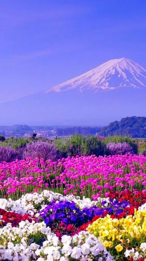 Beautiful Spring Season
