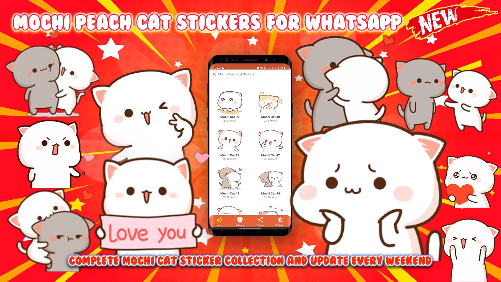 Mochi Peach Cat Stickers Apk For Android Download