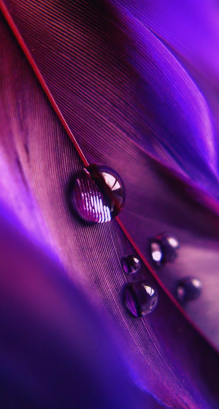 Cool Water Drops Wallpaper