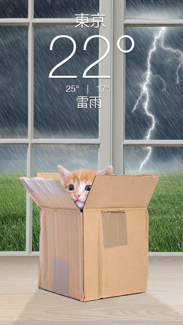 Weather Kitty For Android Apk Download