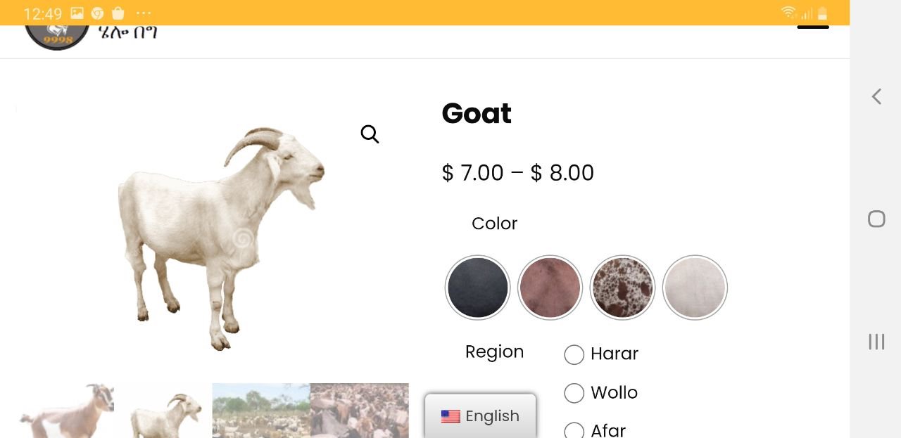 Hello Beg APK for Android Download