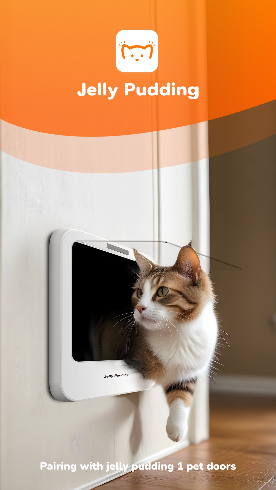 Jelly Pudding APK for Android Download