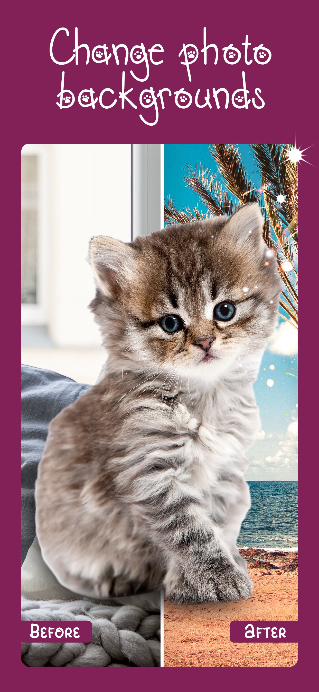 Cat Photo Editor APK for Android Download