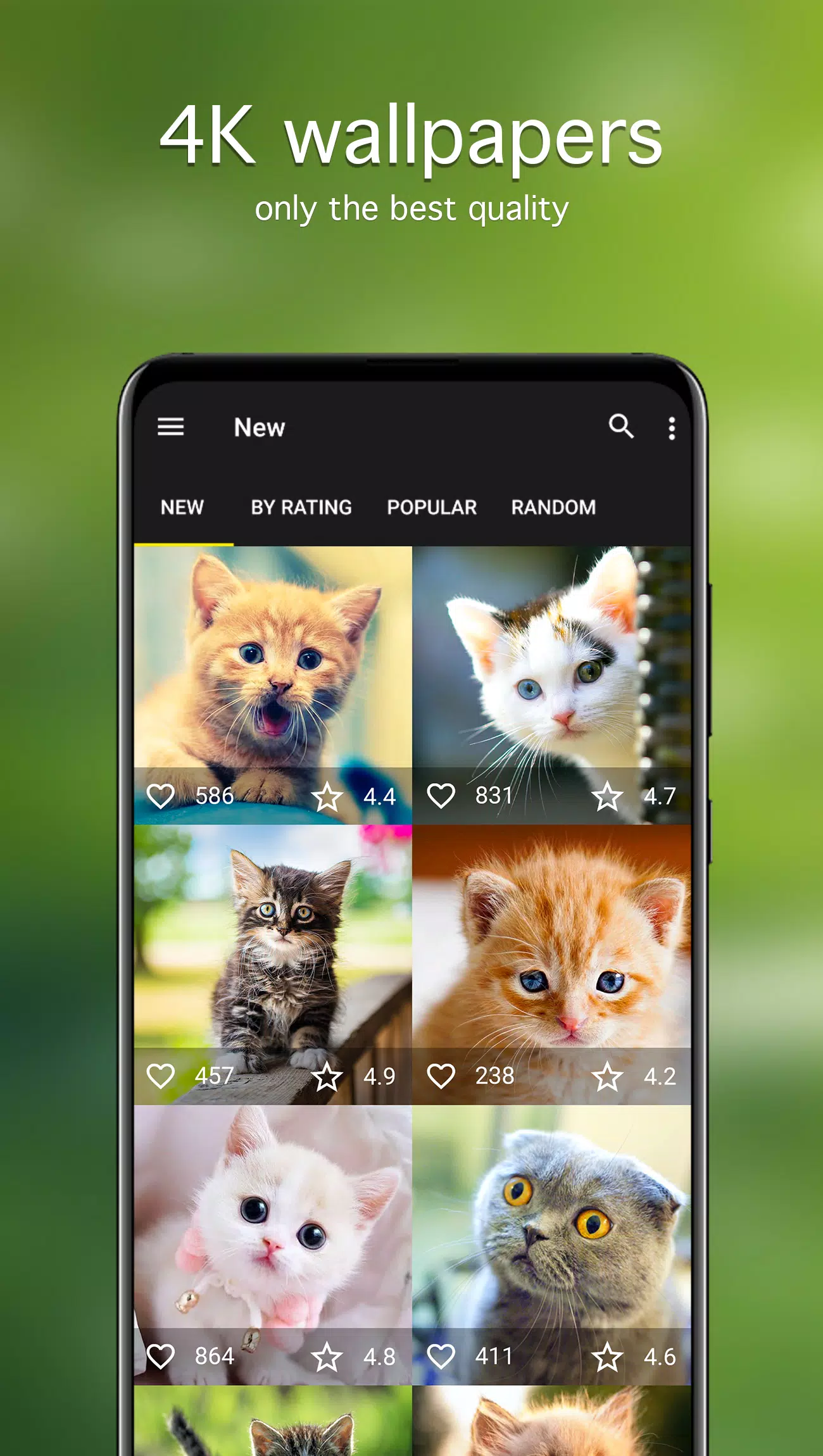 Cute Kittens Wallpapers For Mobile