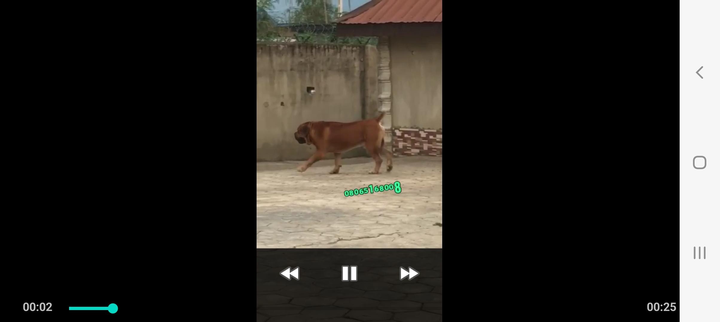 Crdownload File Viewer Opener Apk For Android Download