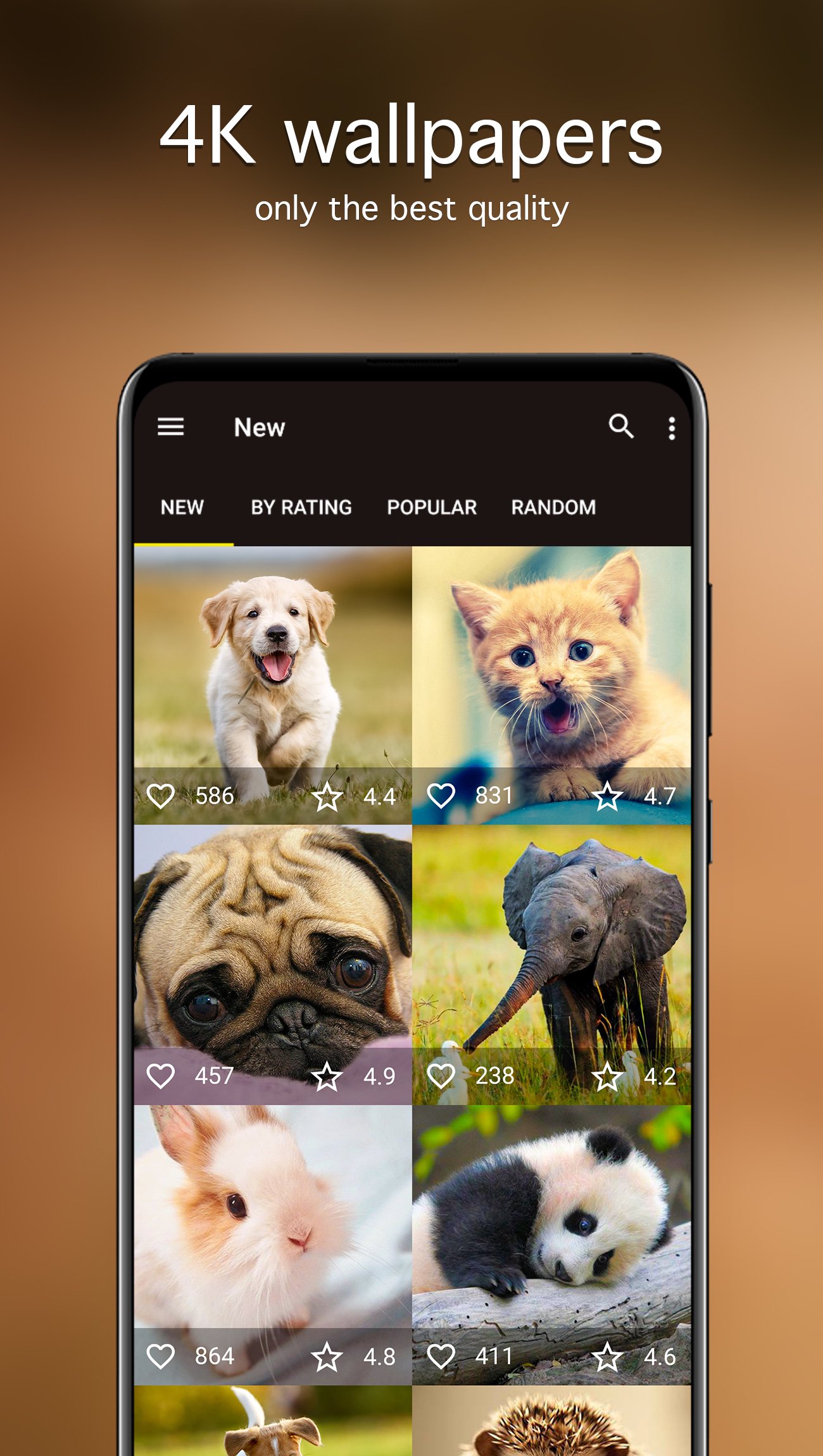Cute Animal Wallpapers 4K for Android - APK Download