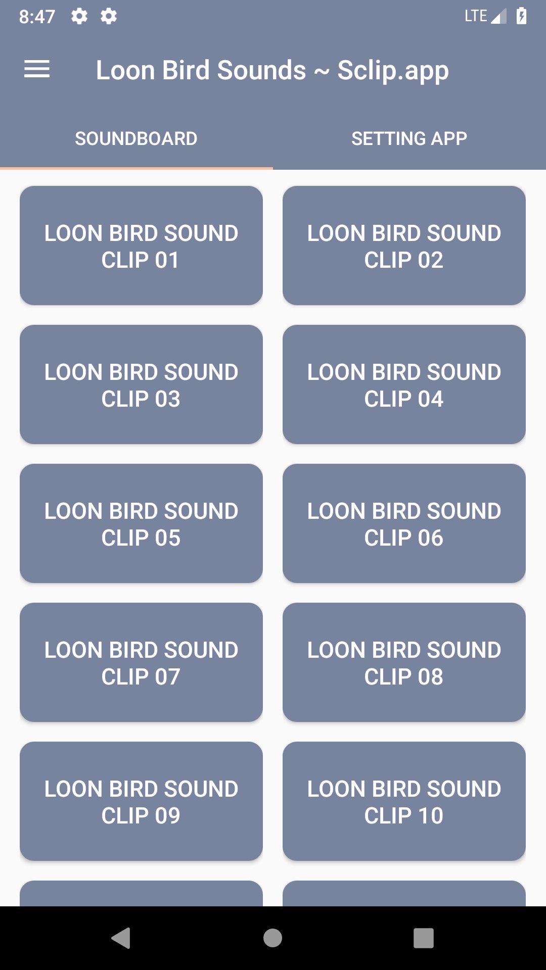 Loon Bird Sound Collections ~ APK for Android Download