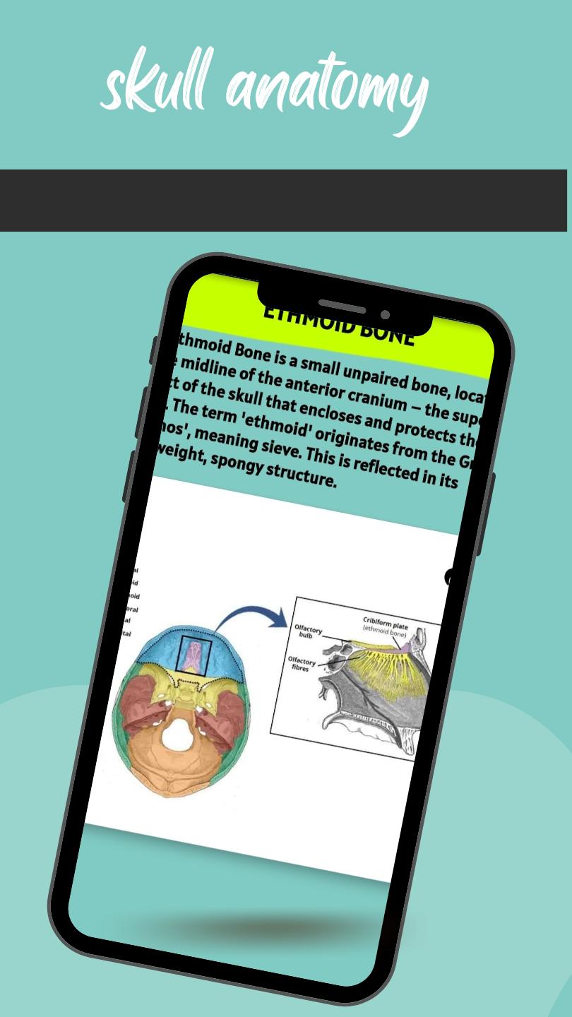 skull anatomy APK for Android Download skull anatomy APK for Android Download