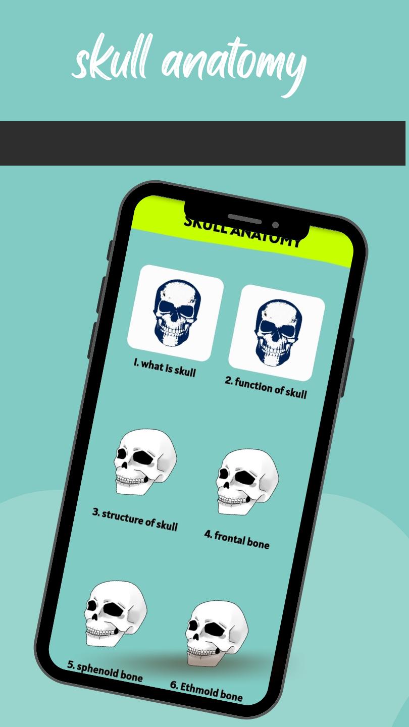 skull anatomy APK for Android Download skull anatomy APK for Android Download