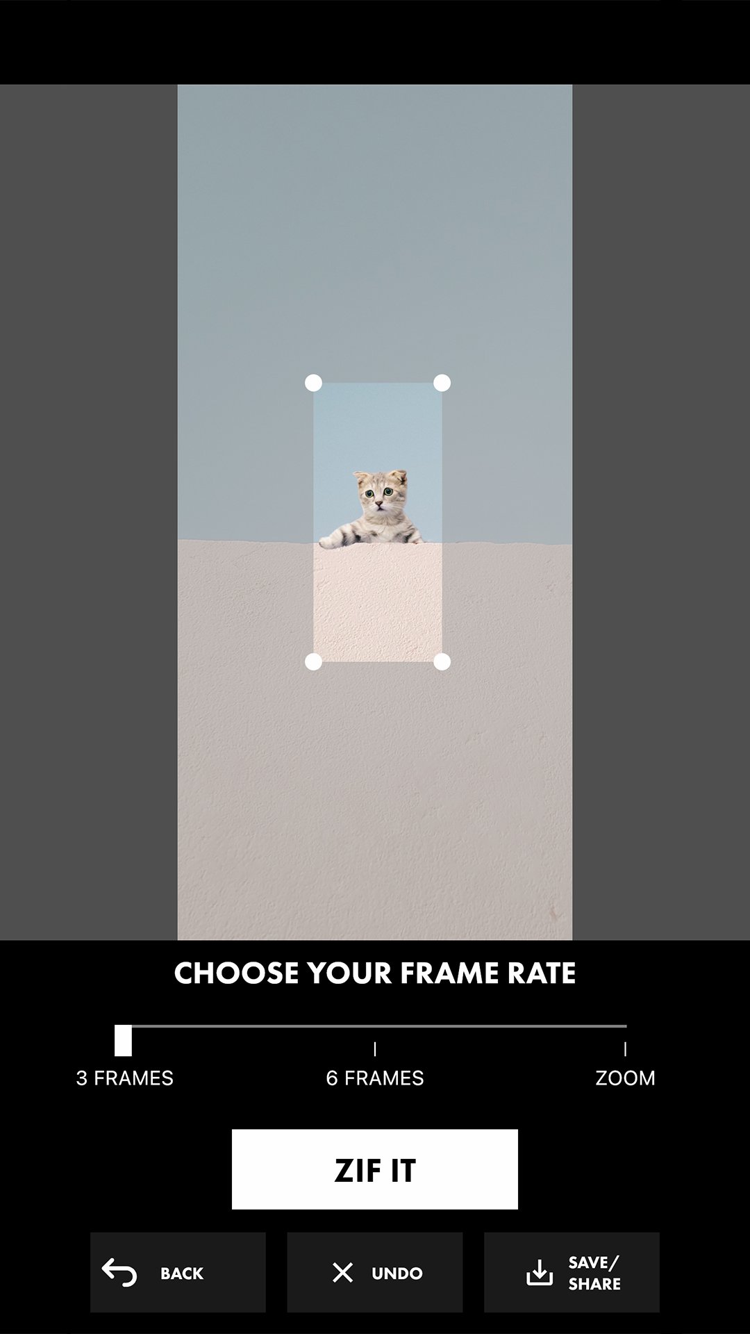 Zif (zoom + gif = zif) APK for Android Download