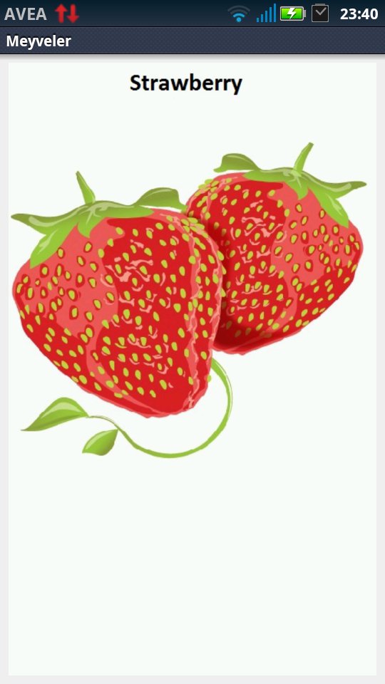 İngilizce Meyveler APK for Android Download