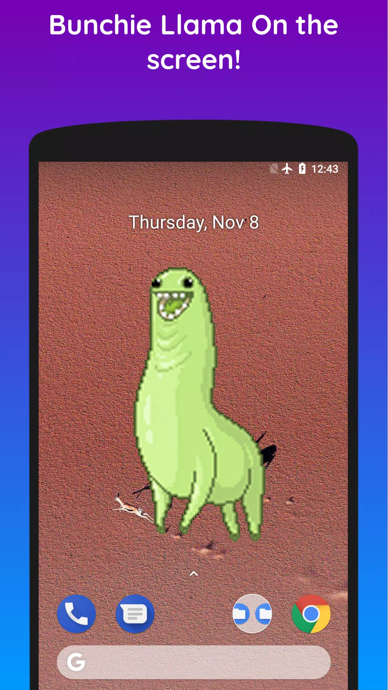 Rainbow Bunchie Moving