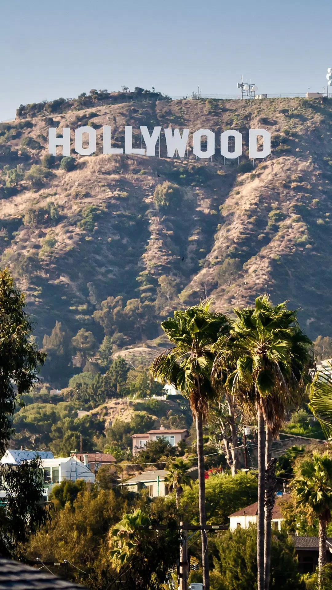 Hollywood City Wallpaper