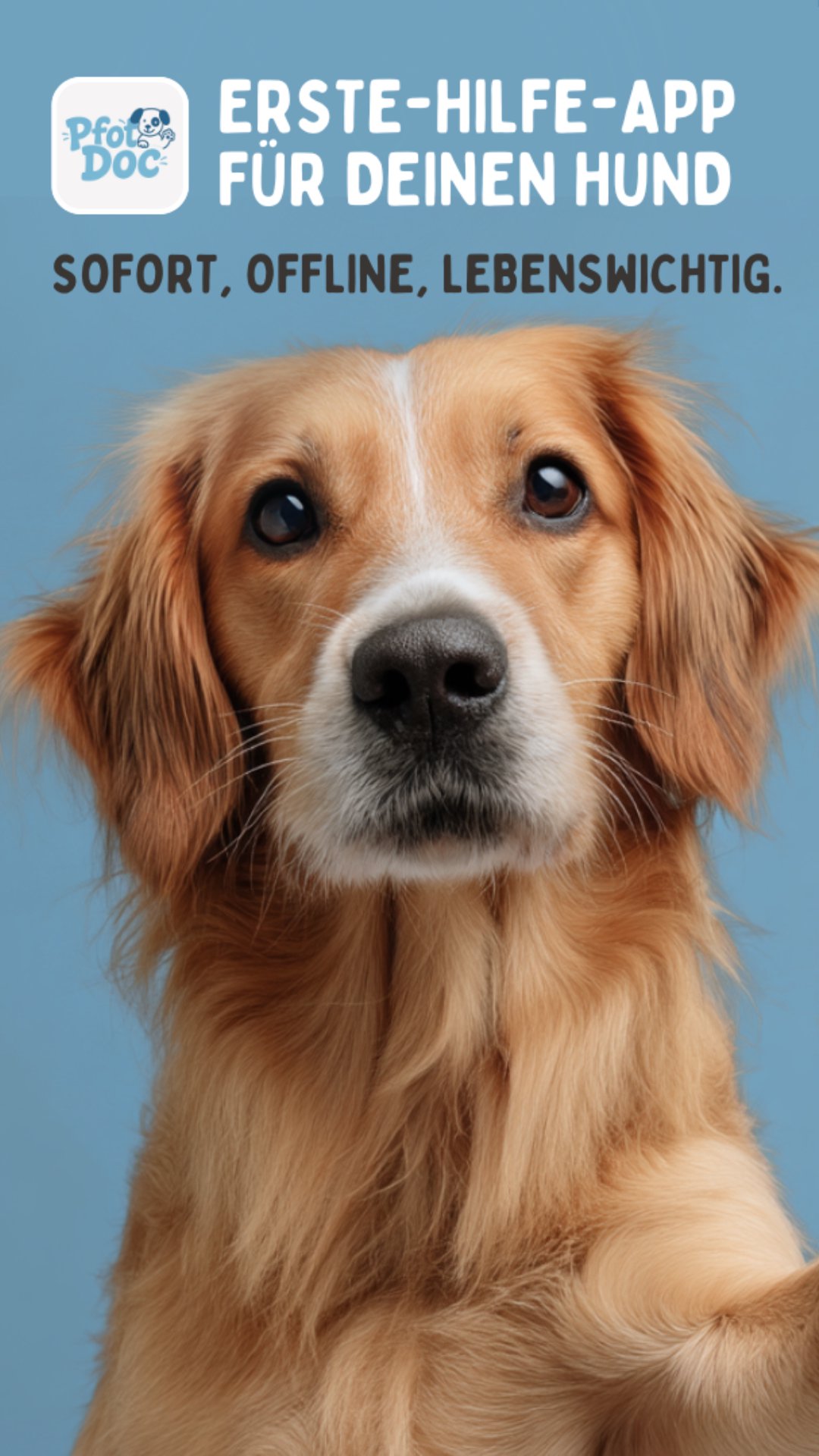 Download PfotenDoc (Hunde-Hilfe) Latest Version 1.0.3 Android APK File