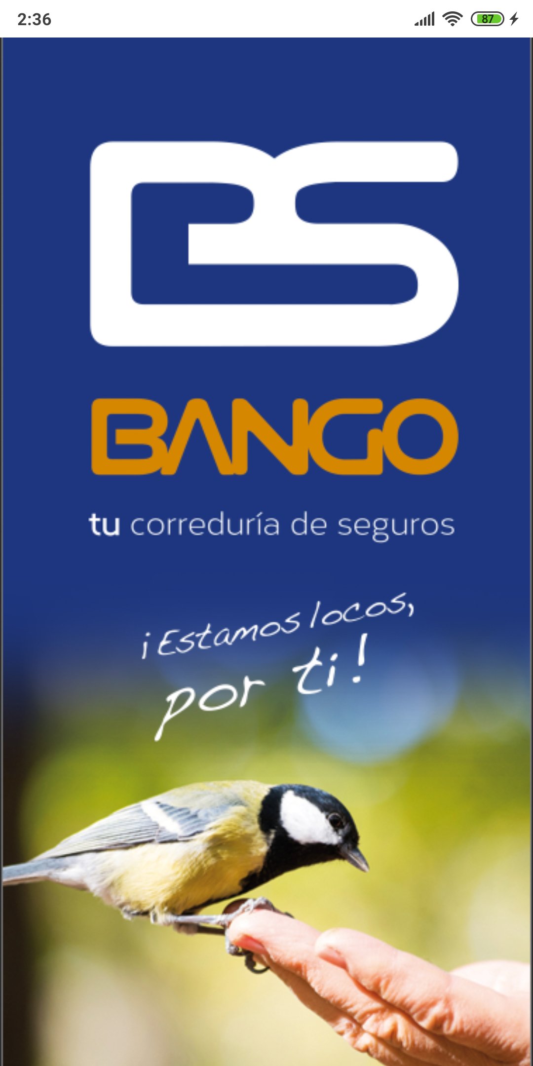 Descargar Bango APK Última Versión 2.8 para Android