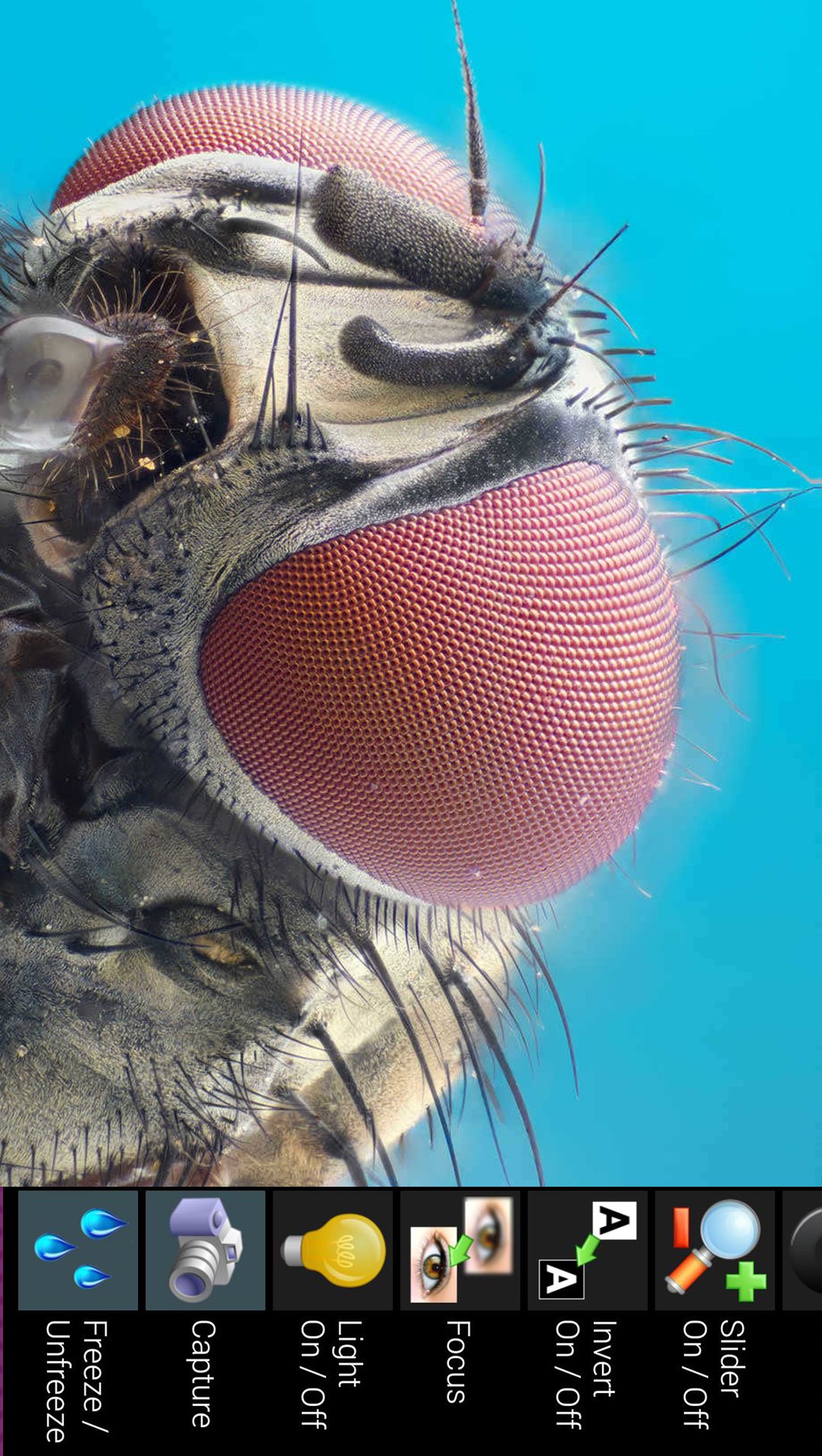 Smart Microscope Microbe Lab APK for Android Download